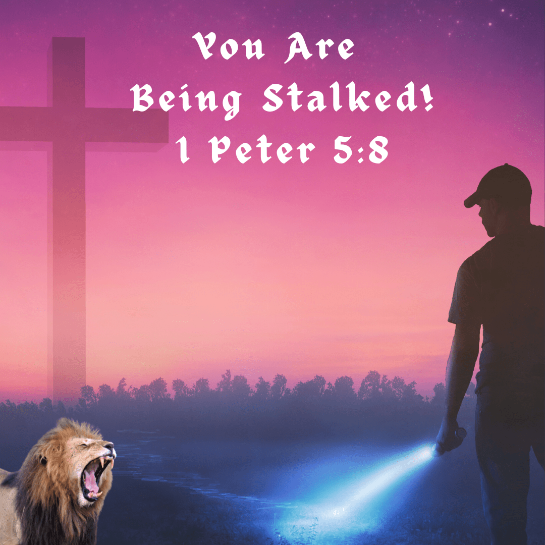 You are Being Stalked! :: Inspiration Flows
