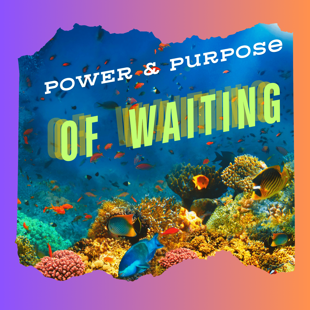 Mindset Mondays: The Power and Purpose of Waiting :: Inspiration Flows